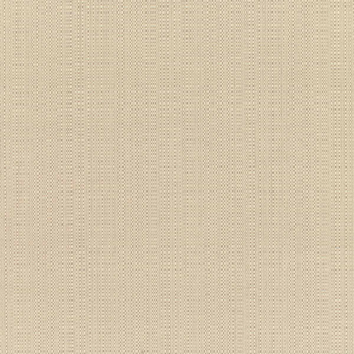 Linen Champagne - CINTIN